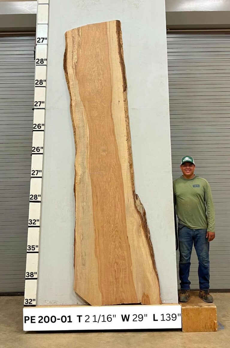 Live Edge Pecan Wood Slab PE 200-01 | Berdoll Sawmill