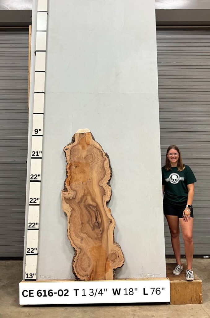 Live Edge Cedar Elm Wood Slab CE 616-02 | Berdoll Sawmill