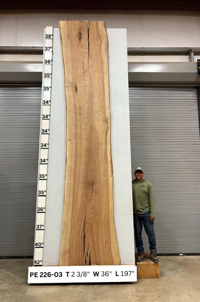 Live Edge Pecan Wood Slab PE 226-03 | Berdoll Sawmill