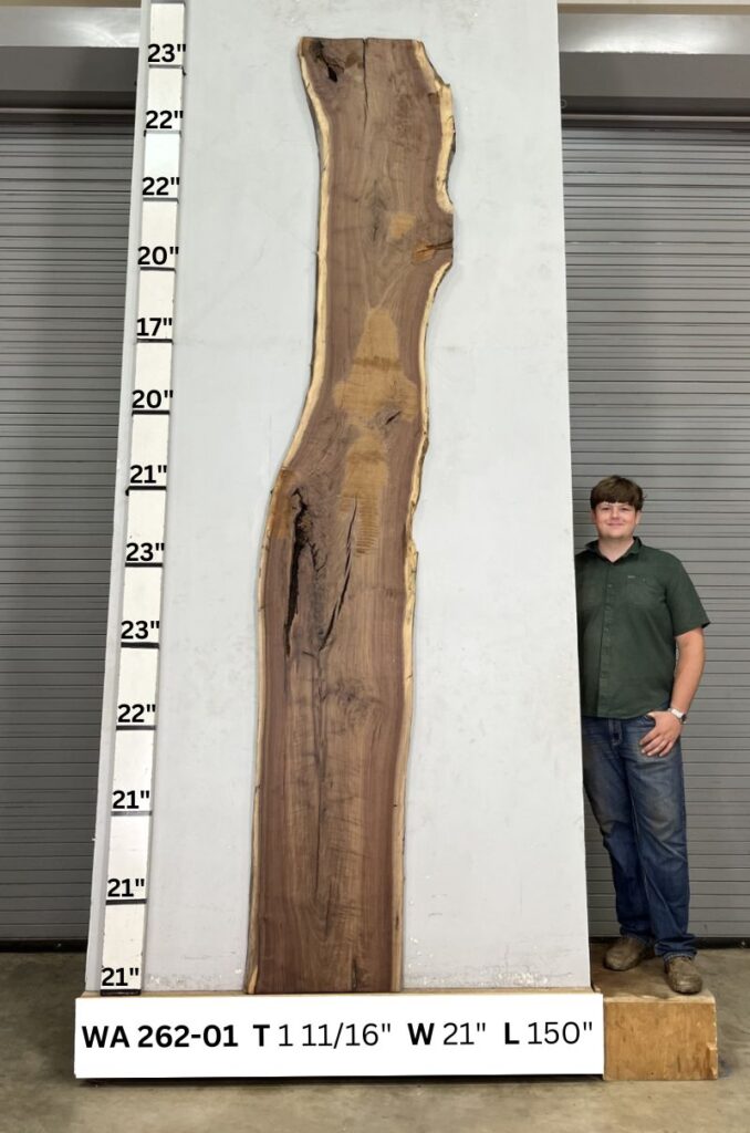 Live Edge Walnut Wood Slab WA 262-01 | Berdoll Sawmill