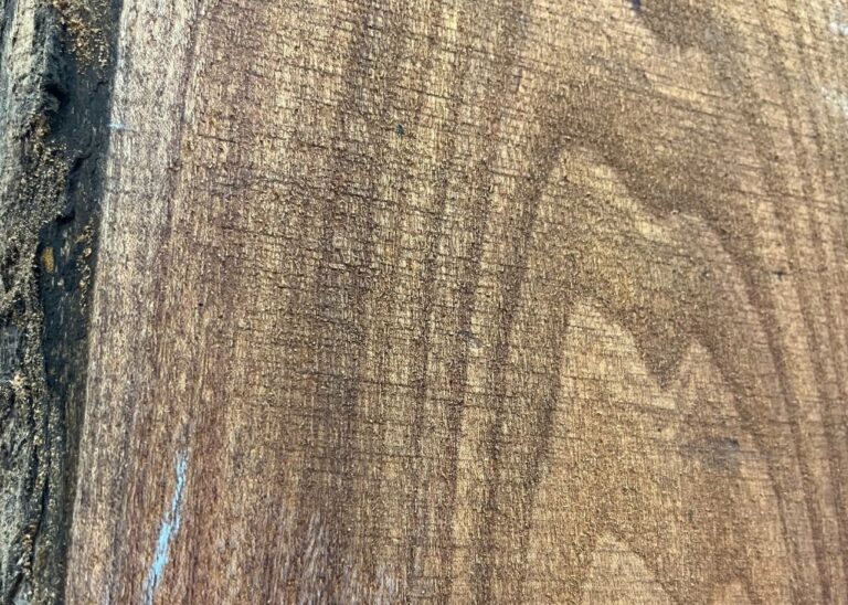 Live Edge Red Elm Wood Slab RE 001-02 | Berdoll Sawmill